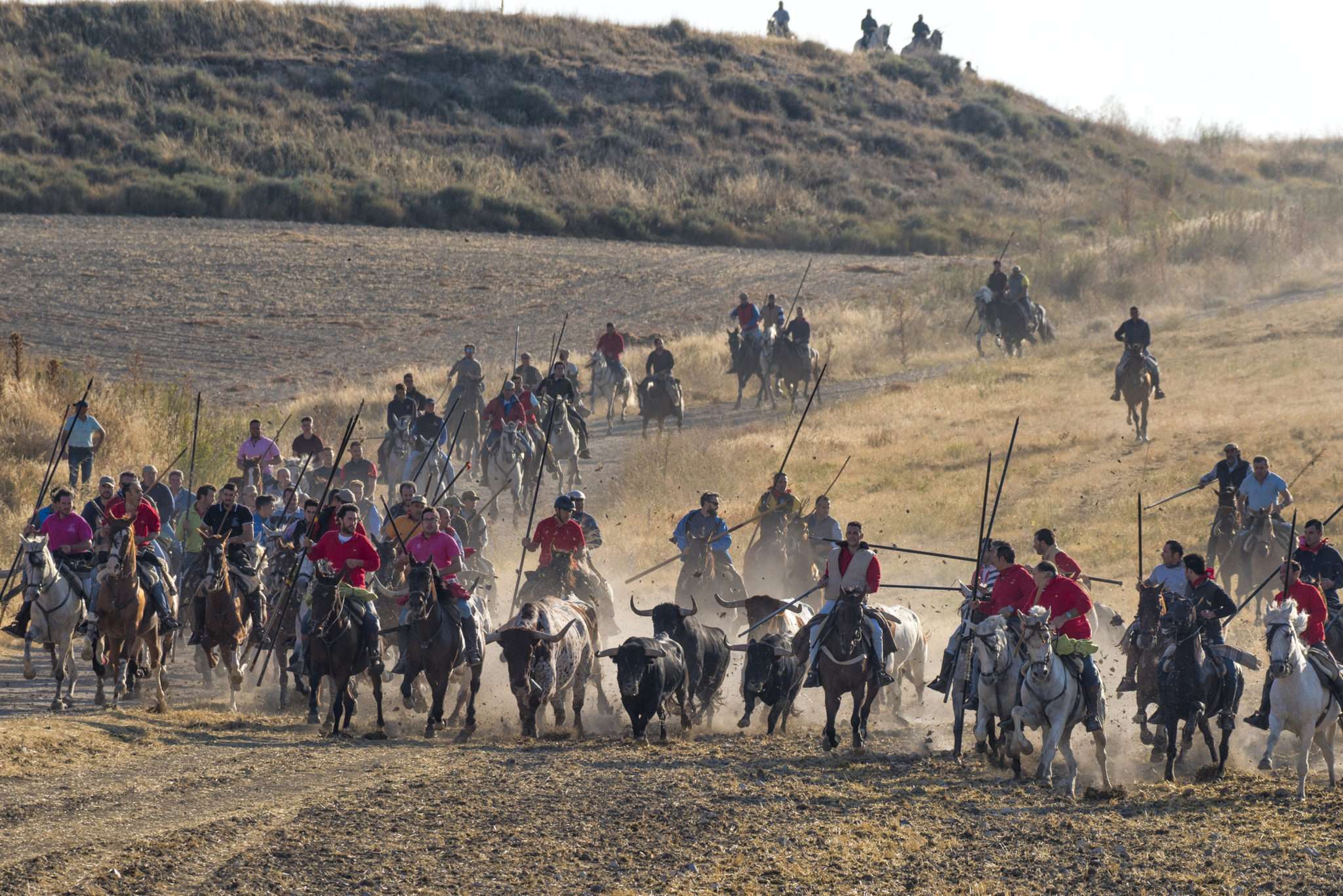 Santuario del Henar y pradera – Turismo Cuéllar – Ayuntamiento de Cuéllar